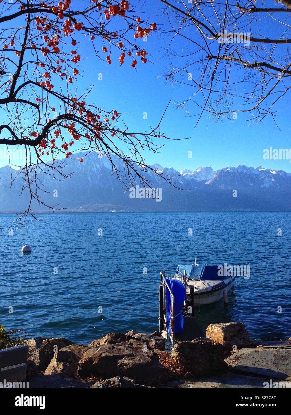 Switzerland boat hi-res stock photography and images - Alamy