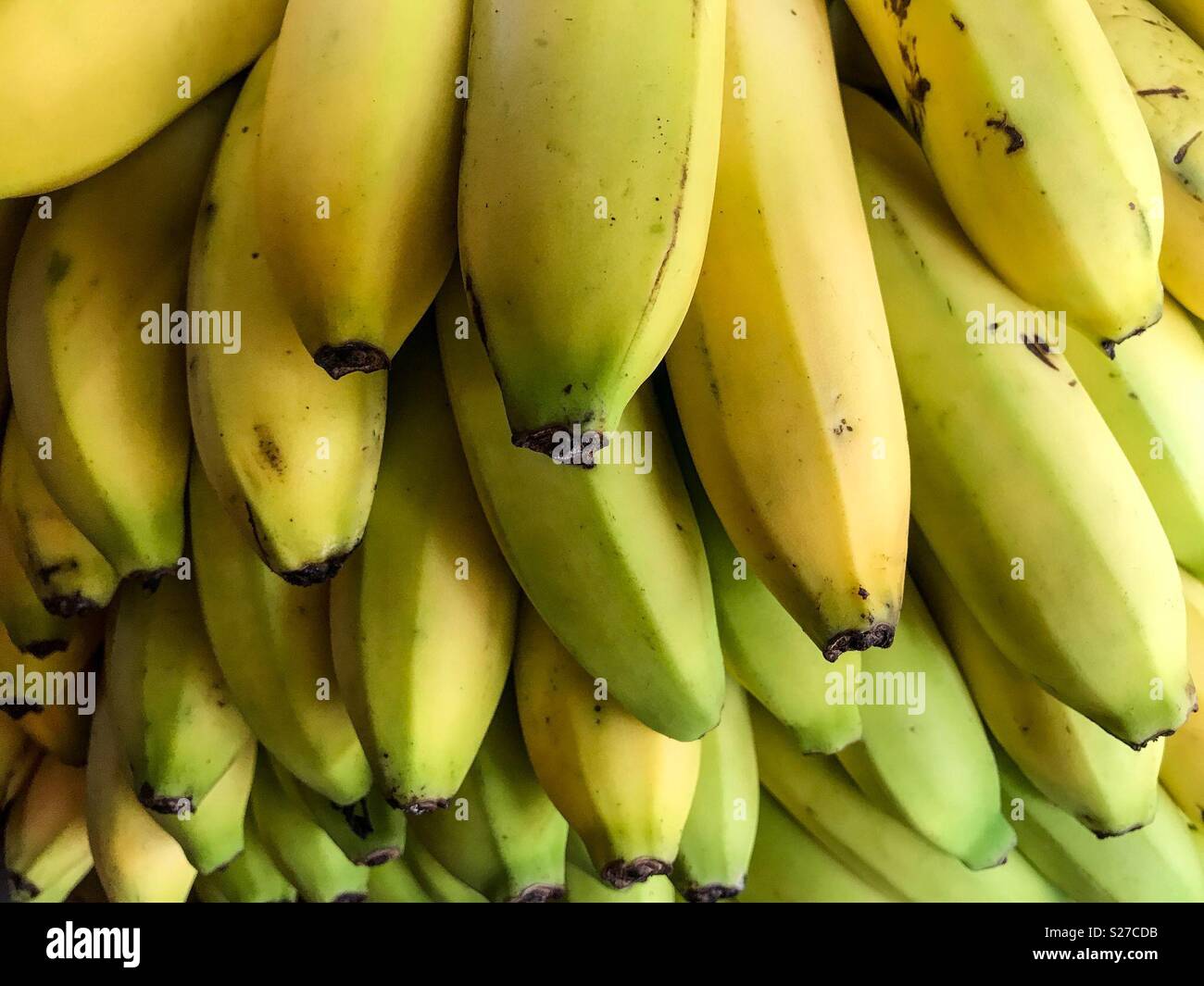 Yes we have bananas Stock Photo - Alamy