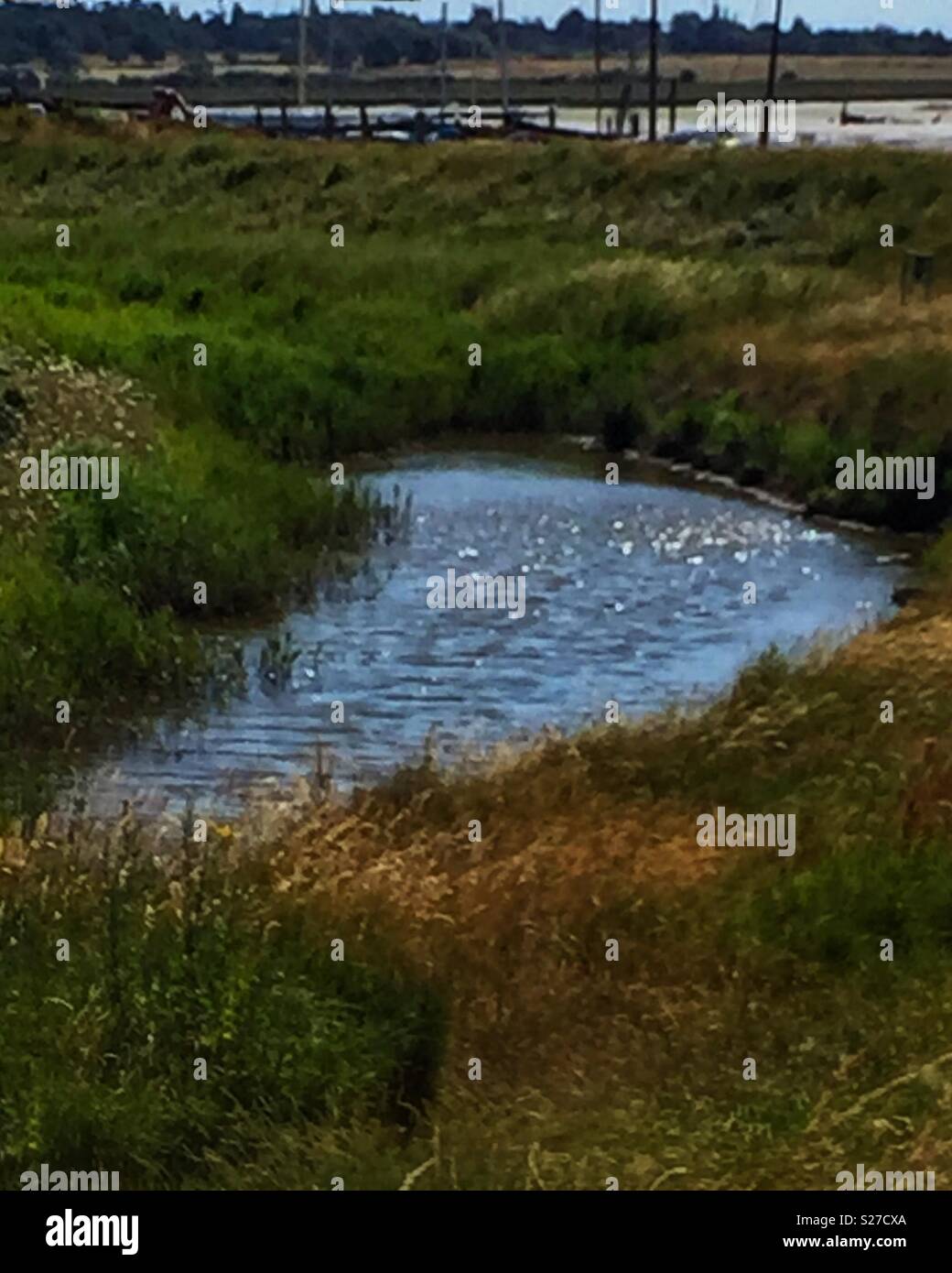 Windy river hi-res stock photography and images - Alamy