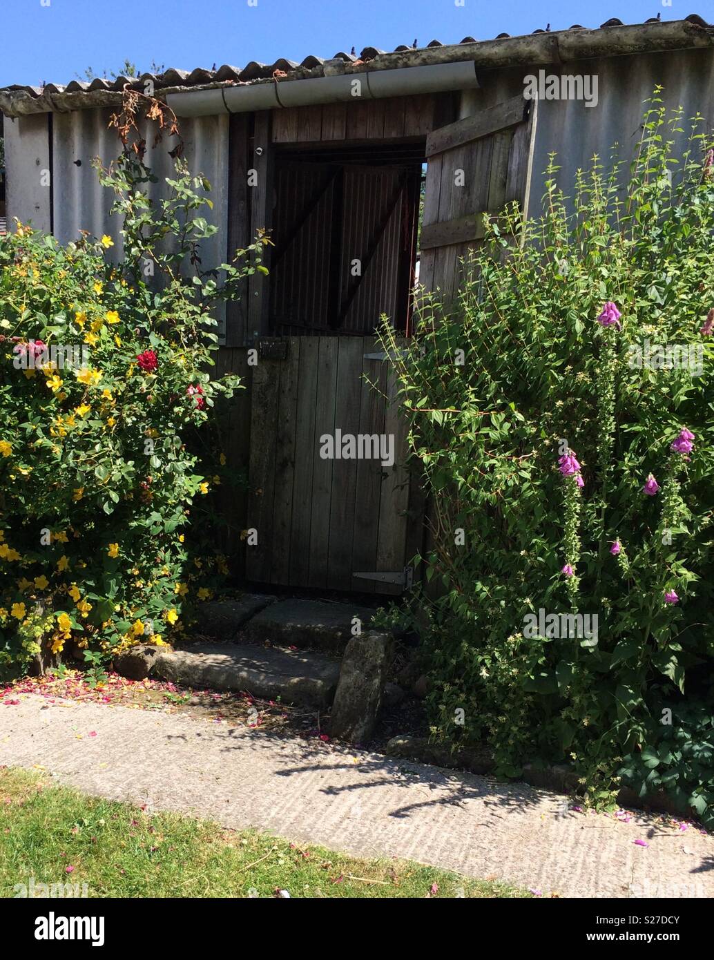 Farm door in sumer hi-res stock photography and images - Alamy