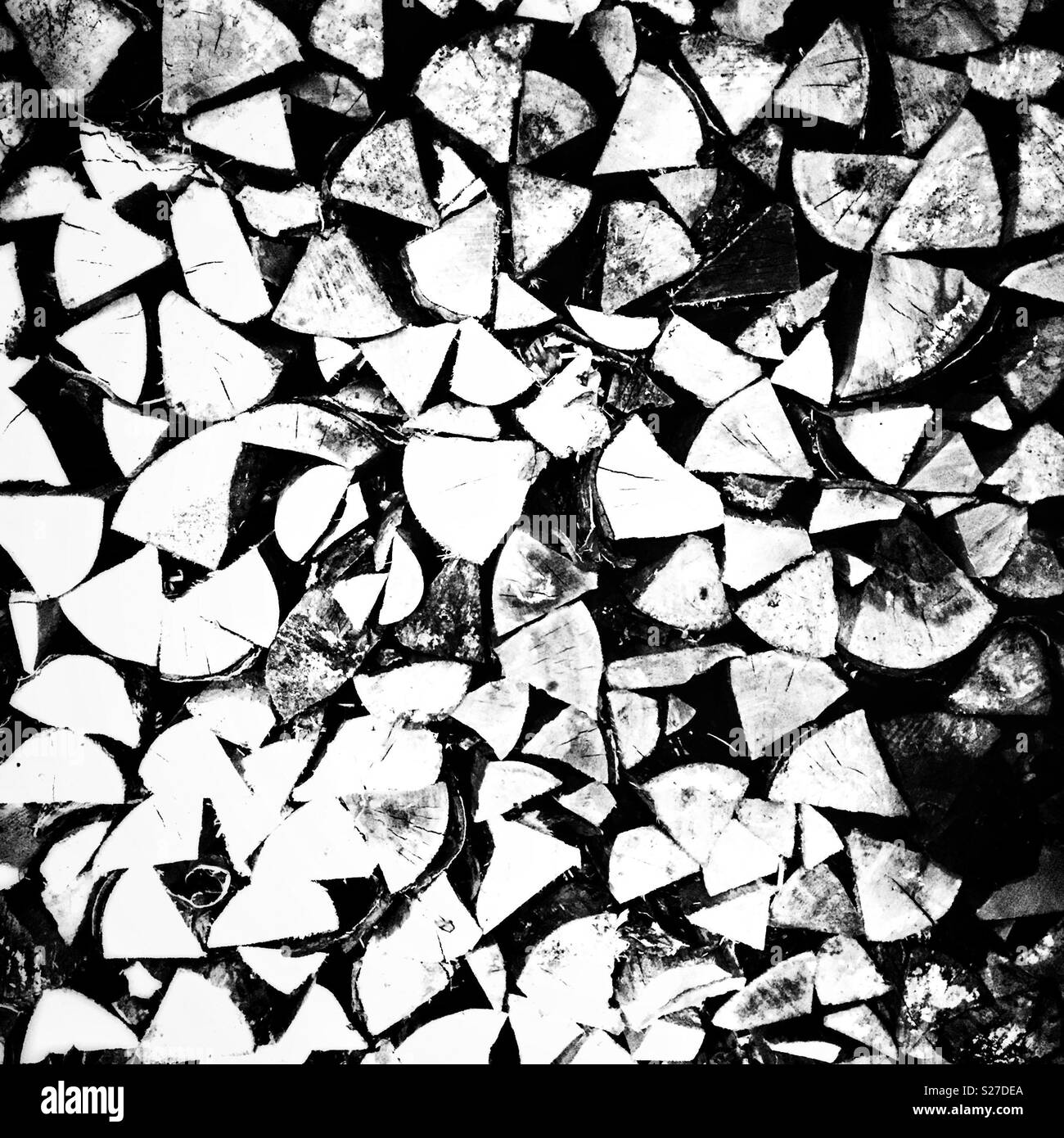 Birch wood, cut Black and White Stock Photos & Images - Alamy