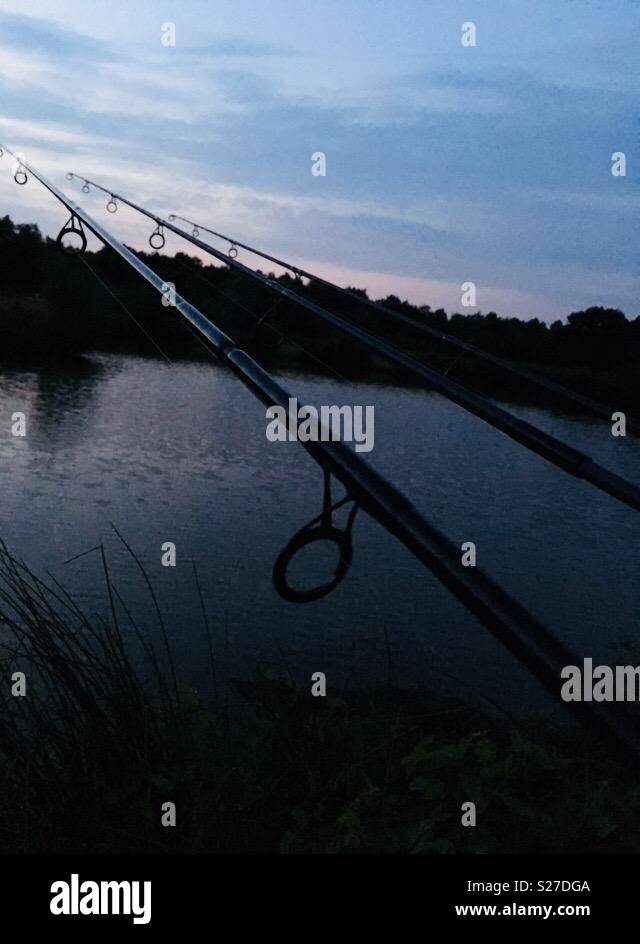 Wylands hi-res stock photography and images - Alamy