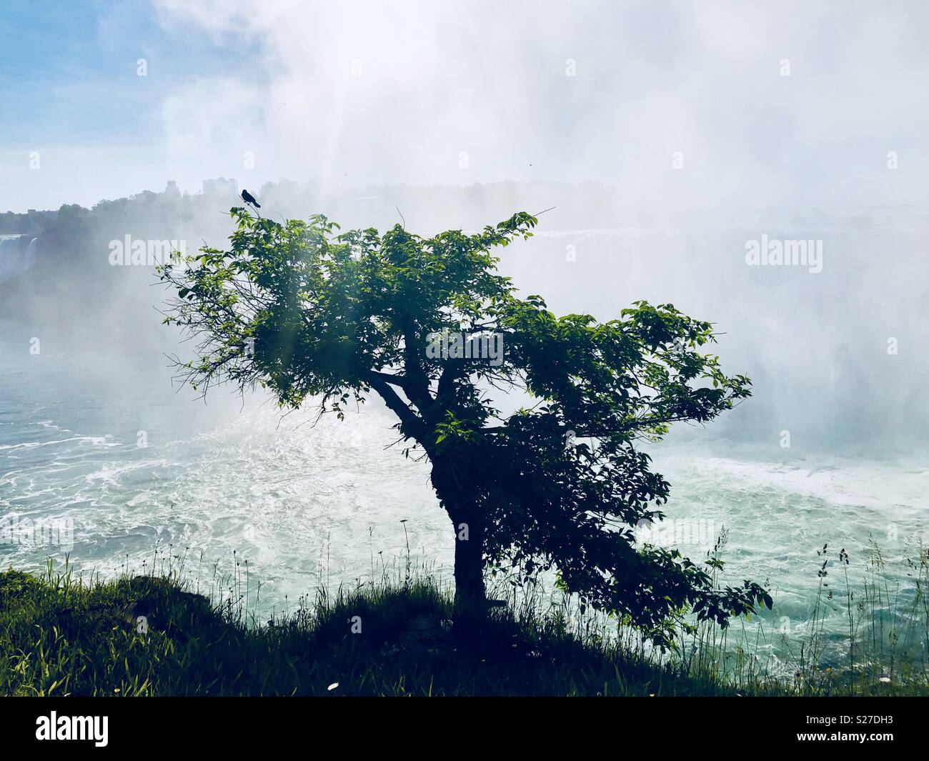 Niagara movement hi-res stock photography and images - Alamy