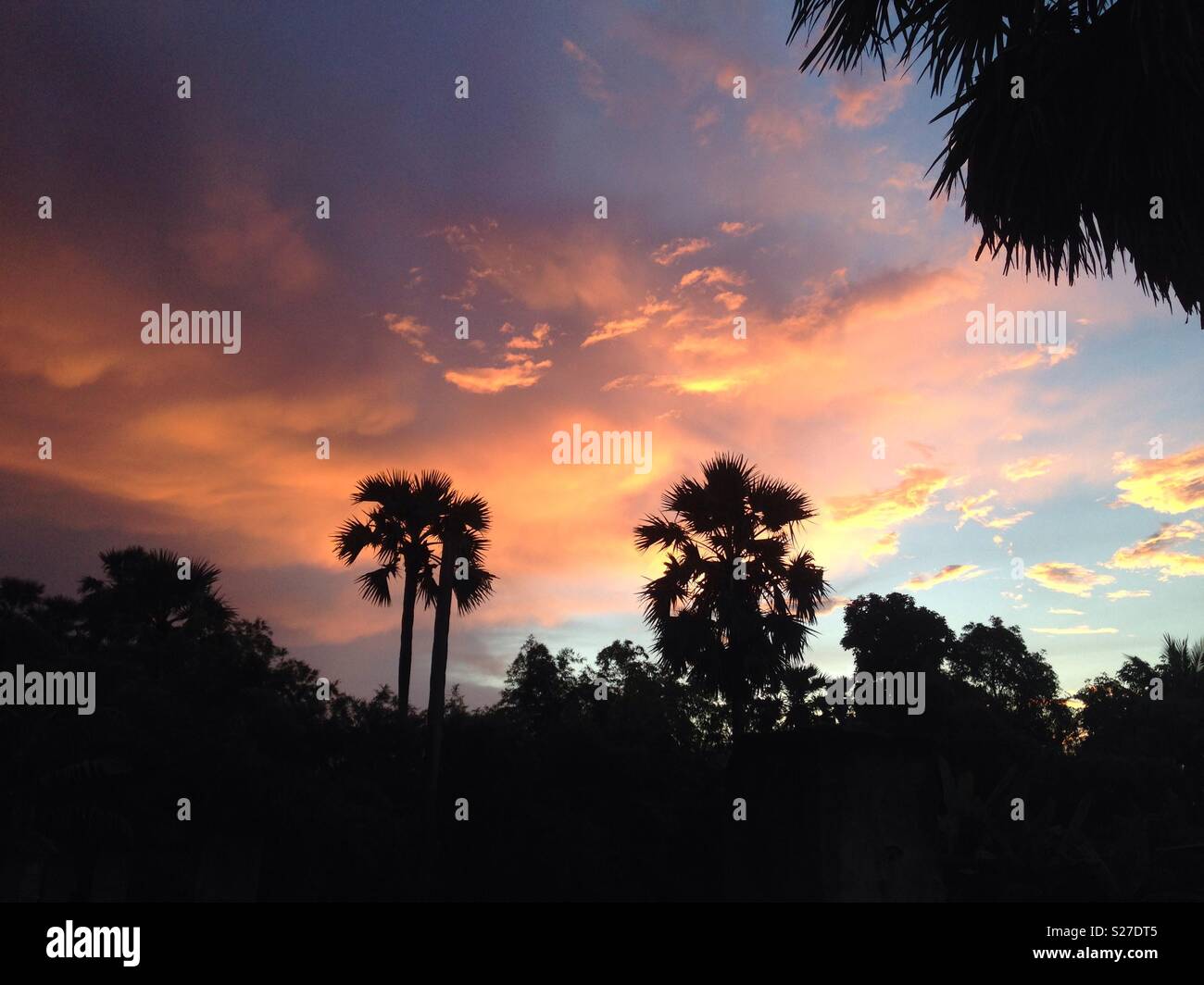 Sunset background isolation is beautiful Stock Photo - Alamy