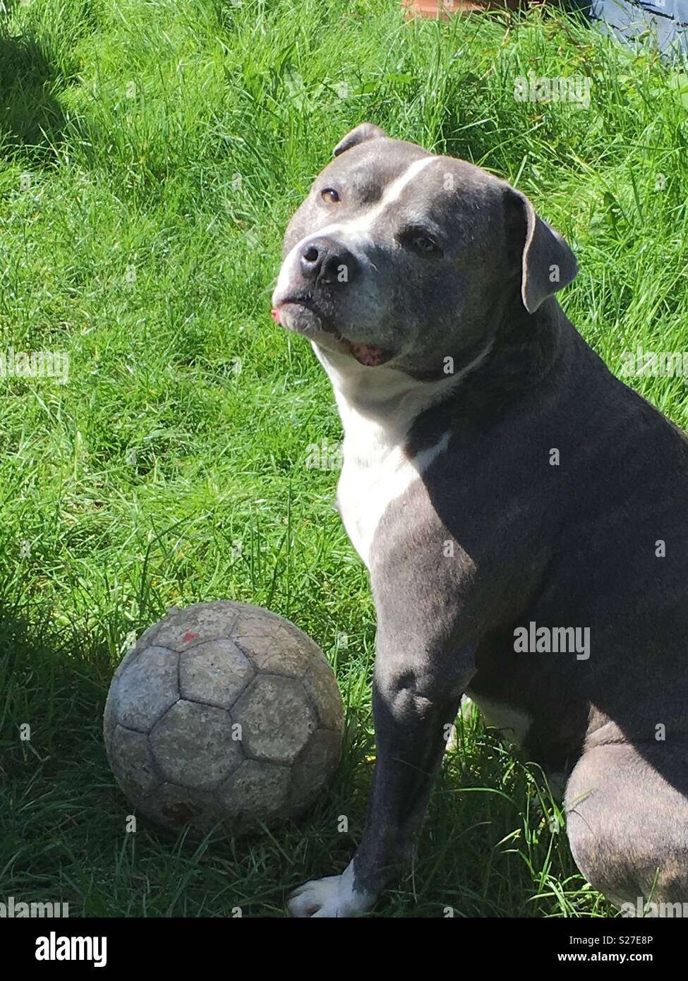 Fancy a game Stock Photo - Alamy