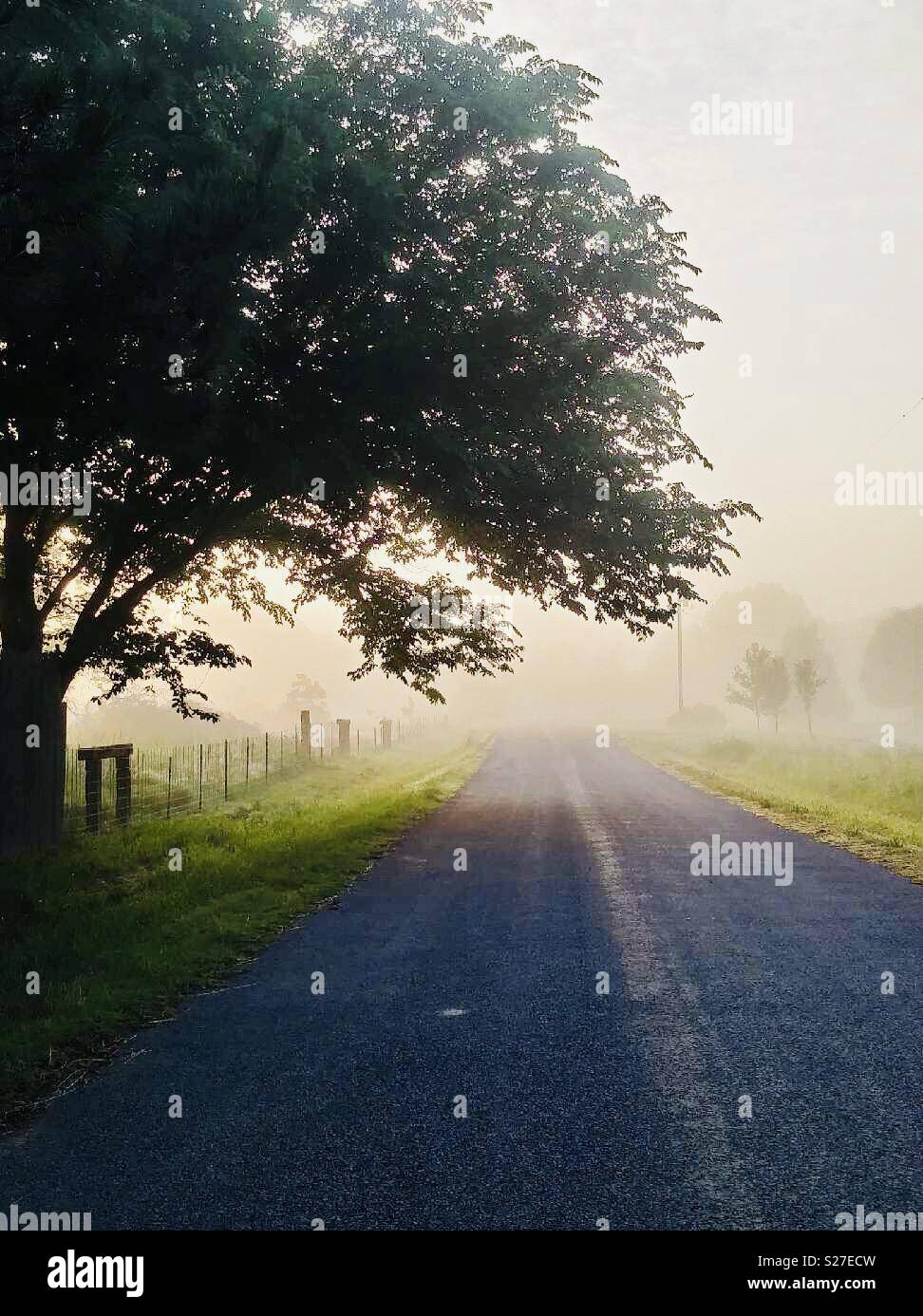 Road less taken Stock Photo - Alamy