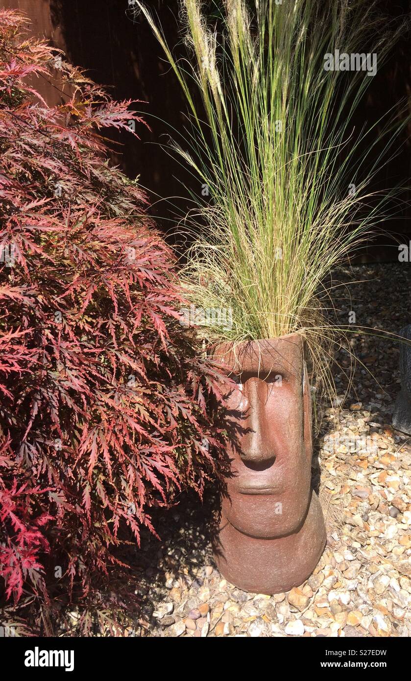 Hair garden hi-res stock photography and images - Alamy