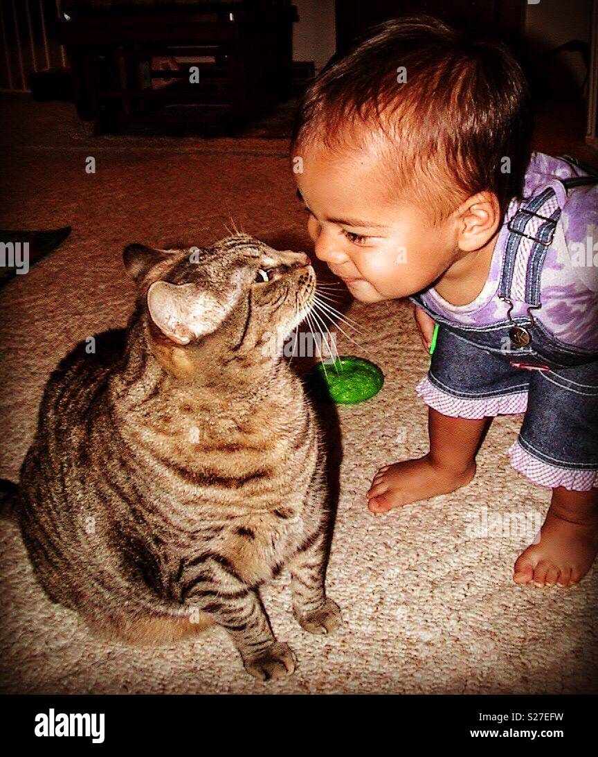 Kissy hi-res stock photography and images - Alamy