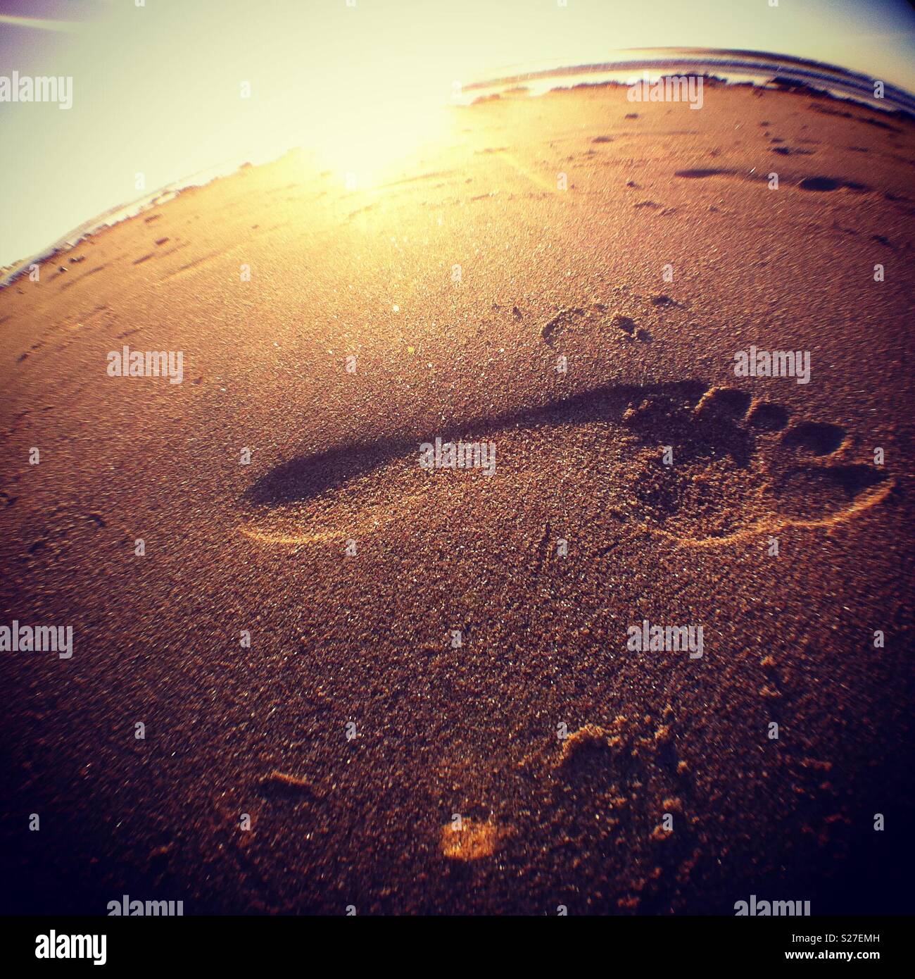 Signs of Early Risers Stock Photo - Alamy