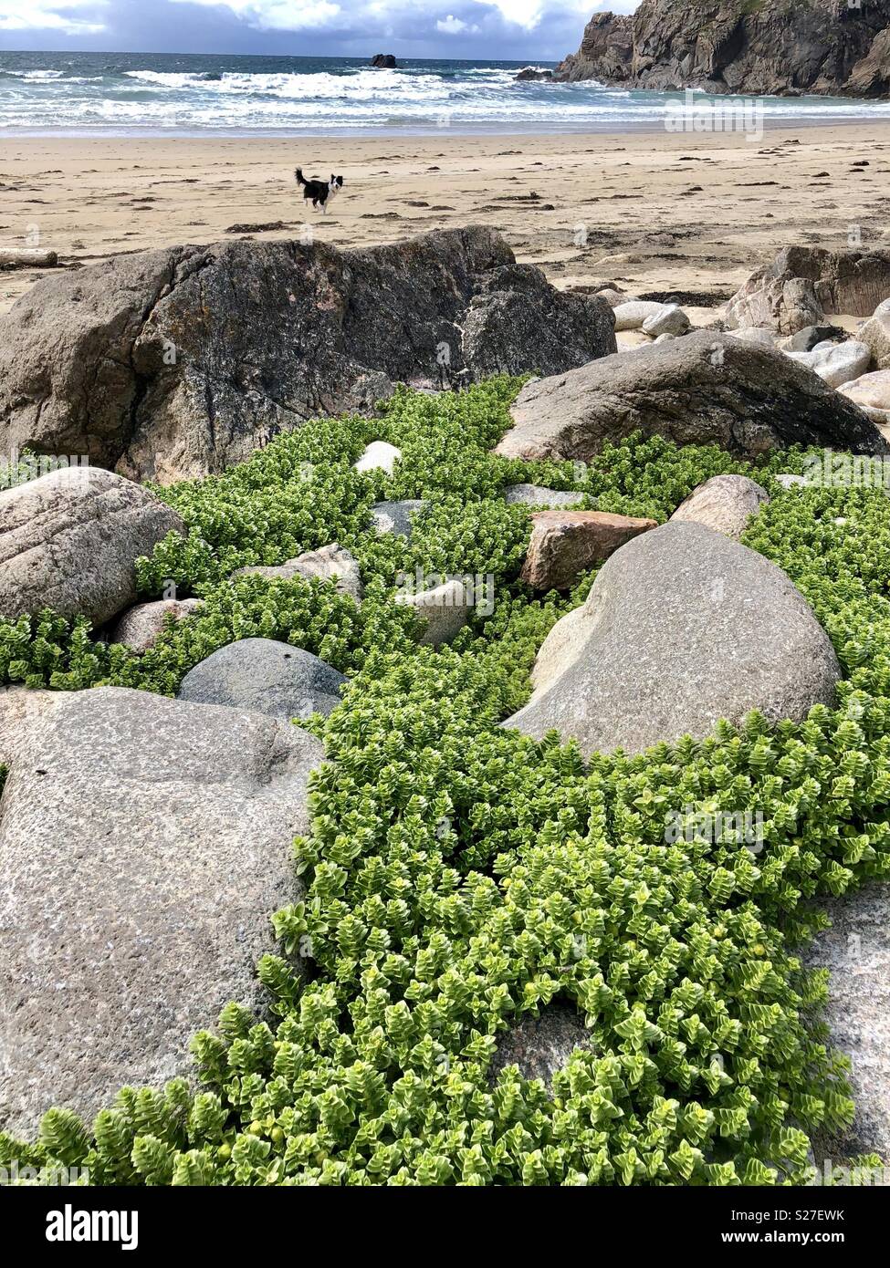 Mangersta Beach Isle of Lewis in June Stock Photo - Alamy