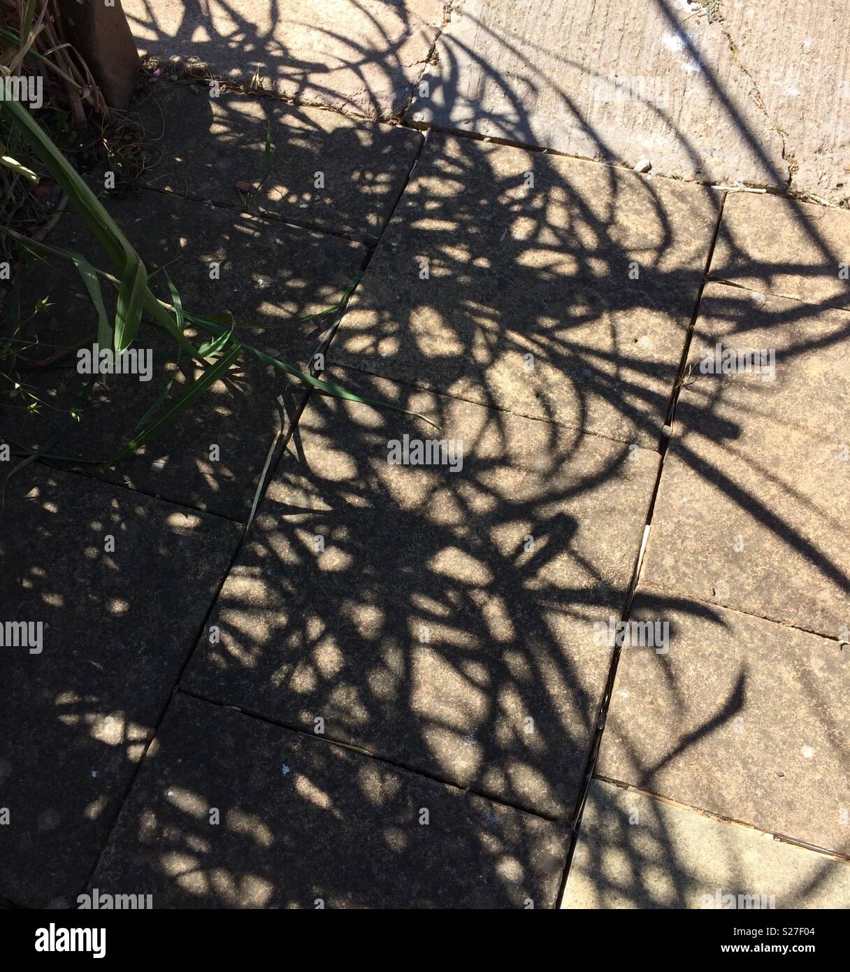 Bamboo shadow hi-res stock photography and images - Alamy