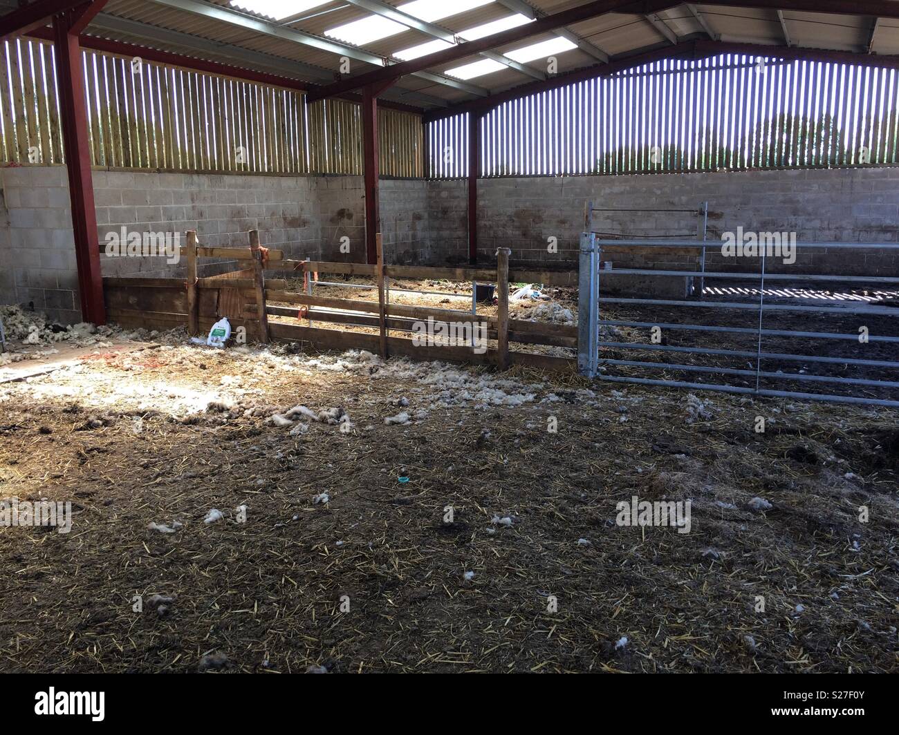 Barn after shearing hi-res stock photography and images - Alamy