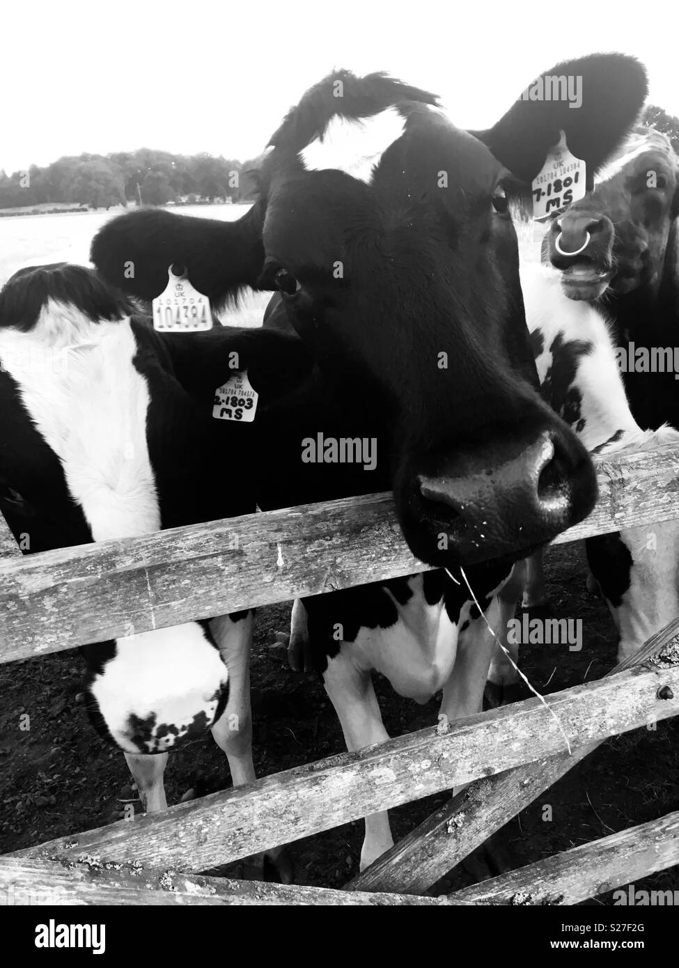 Love your countryside hi-res stock photography and images - Alamy