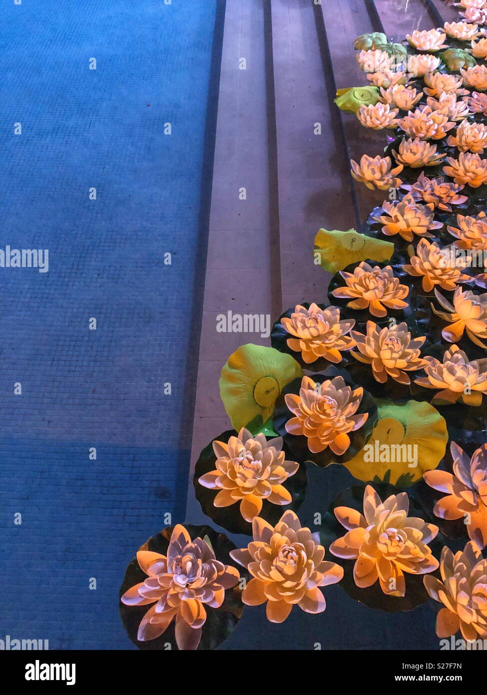 Floating flowers in the pool Stock Photo - Alamy