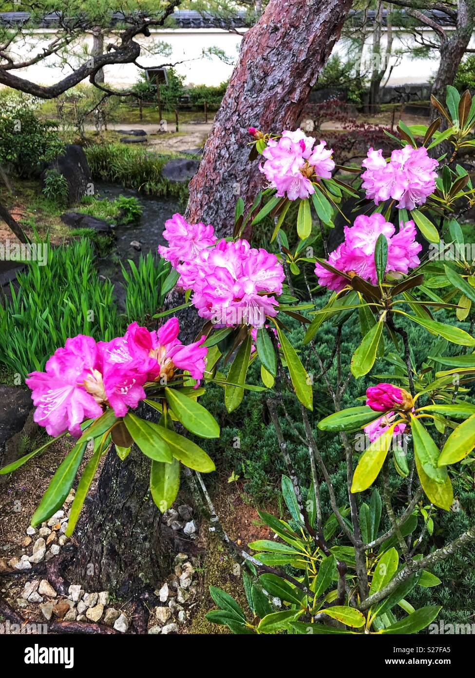 Brilliant colours during the rain in a Japanese Garden in Himeji Stock ...