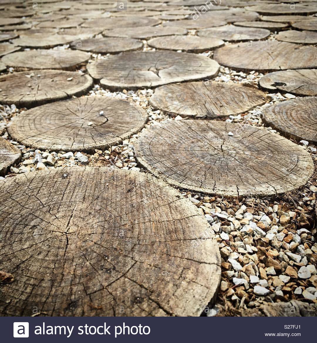 Stepping Stone Path High Resolution Stock Photography and Images - Alamy