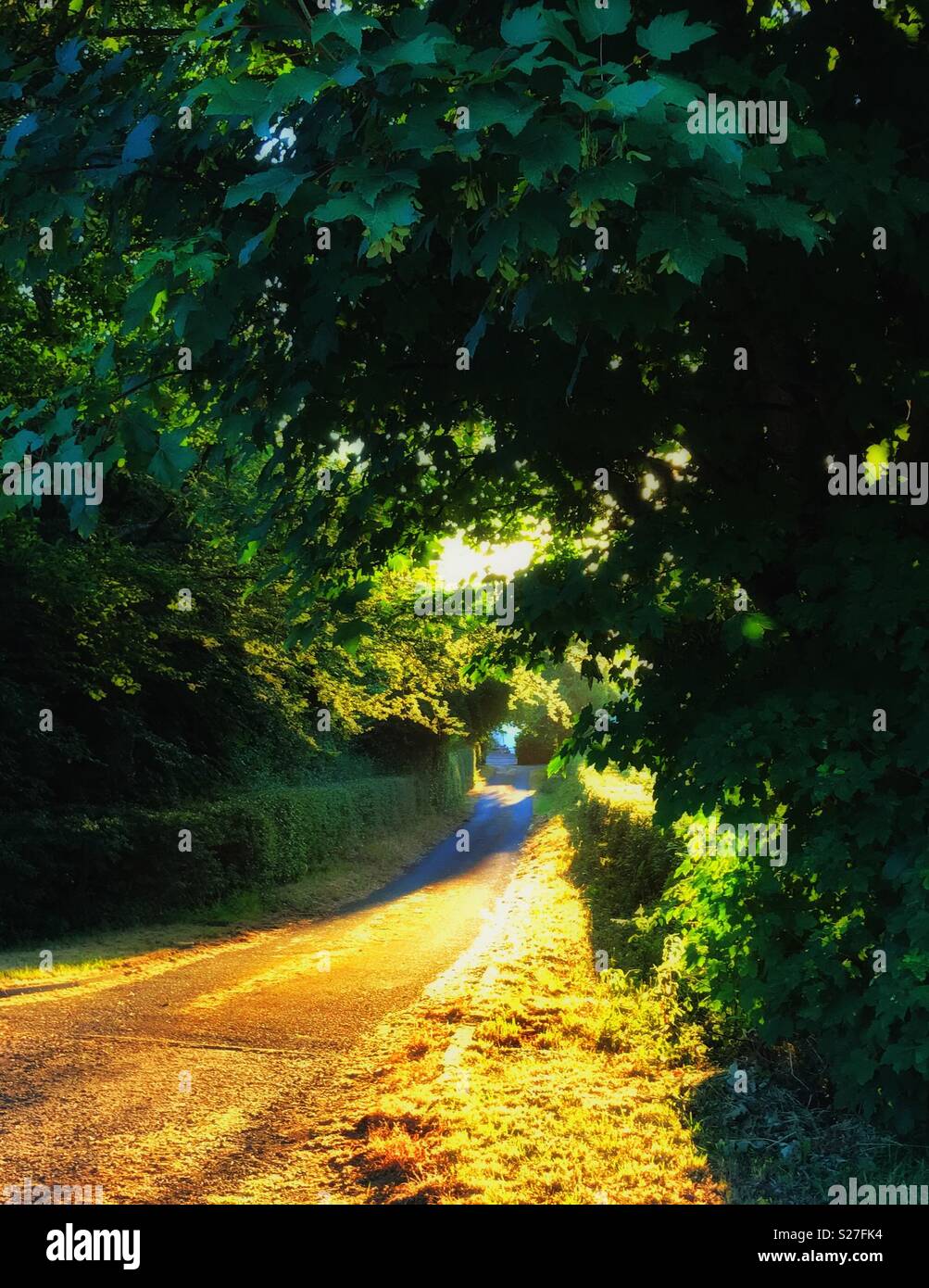 Country sun hi-res stock photography and images - Alamy