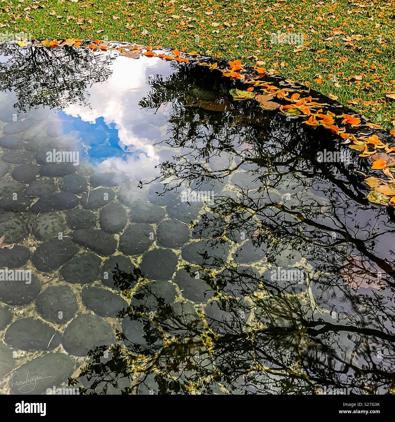 Reflections in a shallow pond Stock Photo - Alamy