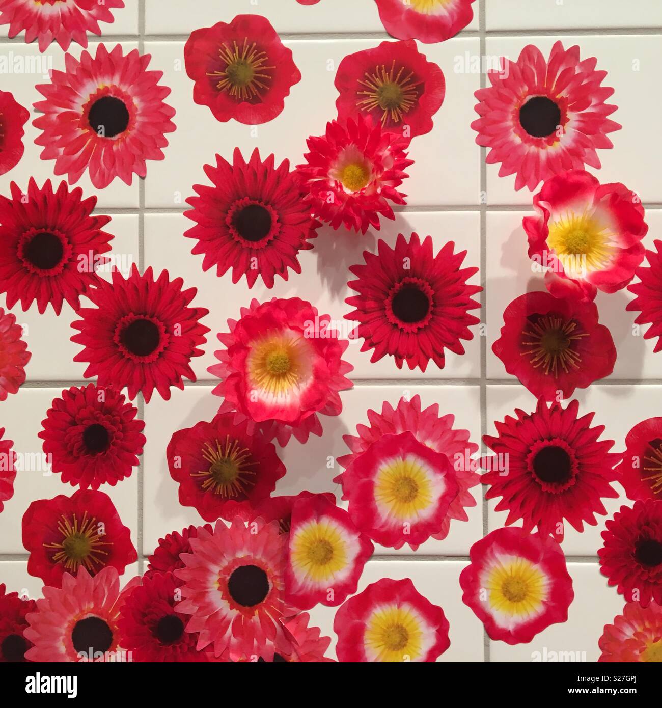 Flower stickers on bathroom tiles as an interactive art installation ...