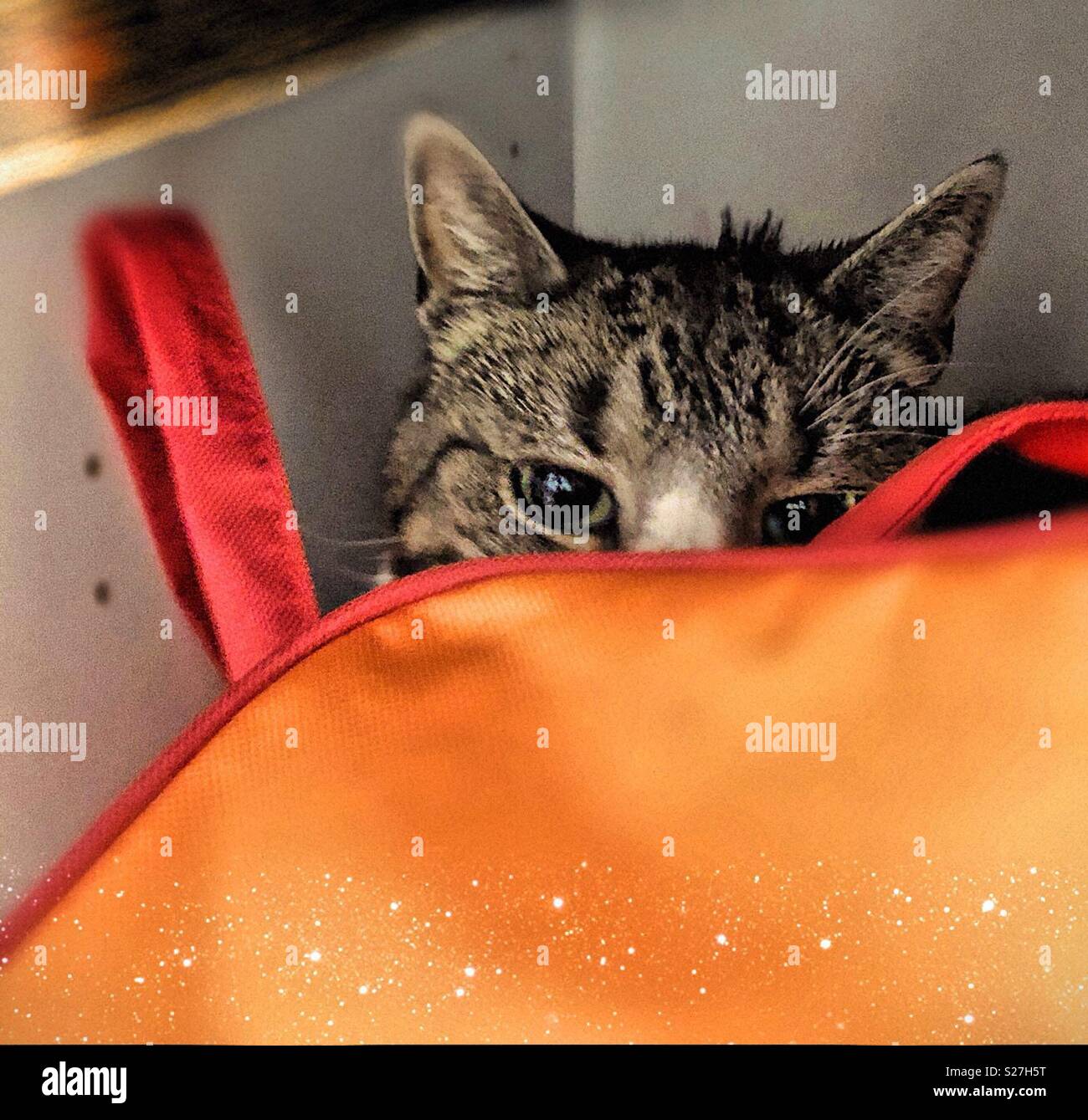 How could you find me Stock Photo - Alamy