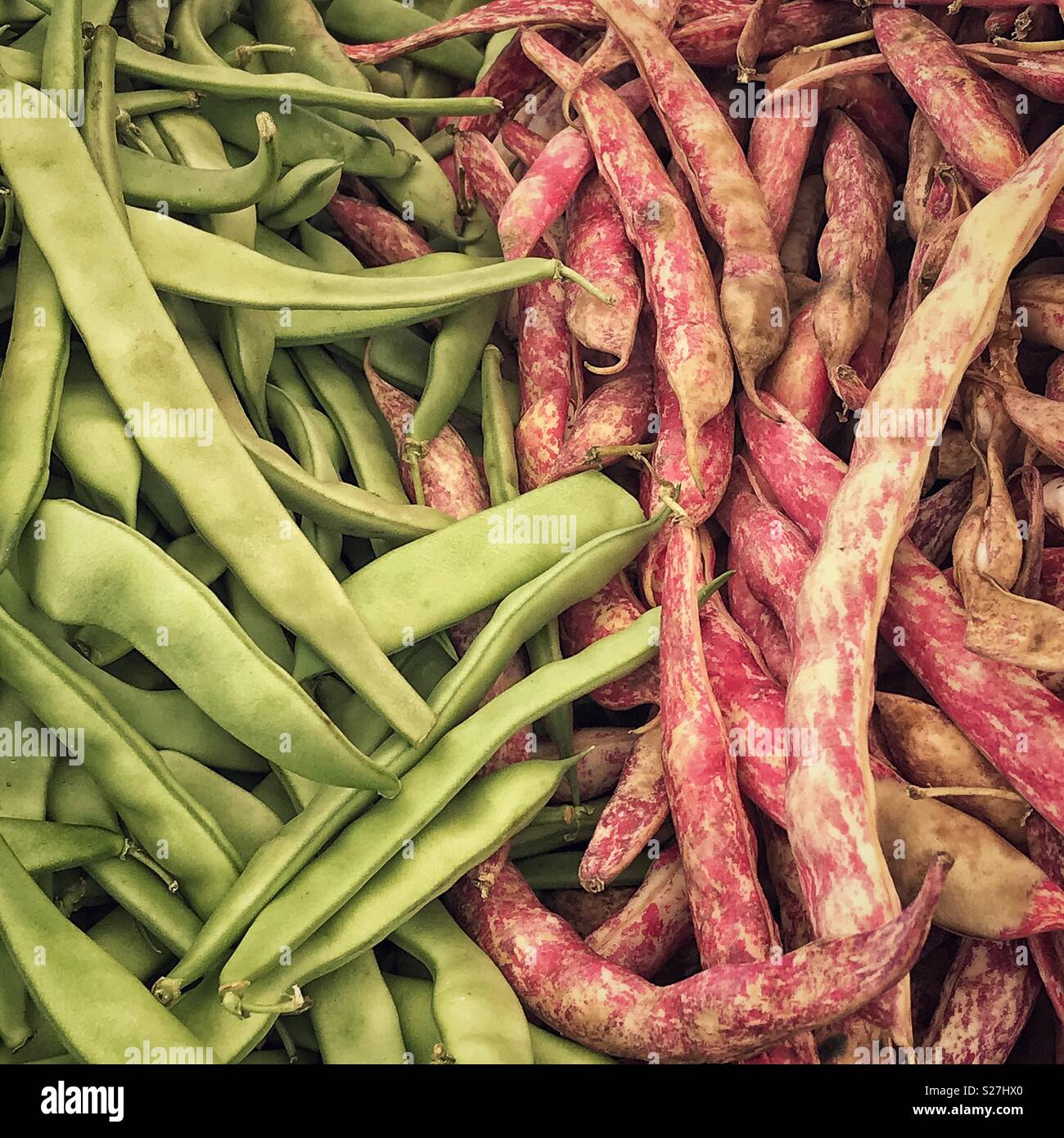 Green beans and pink beans Stock Photo - Alamy
