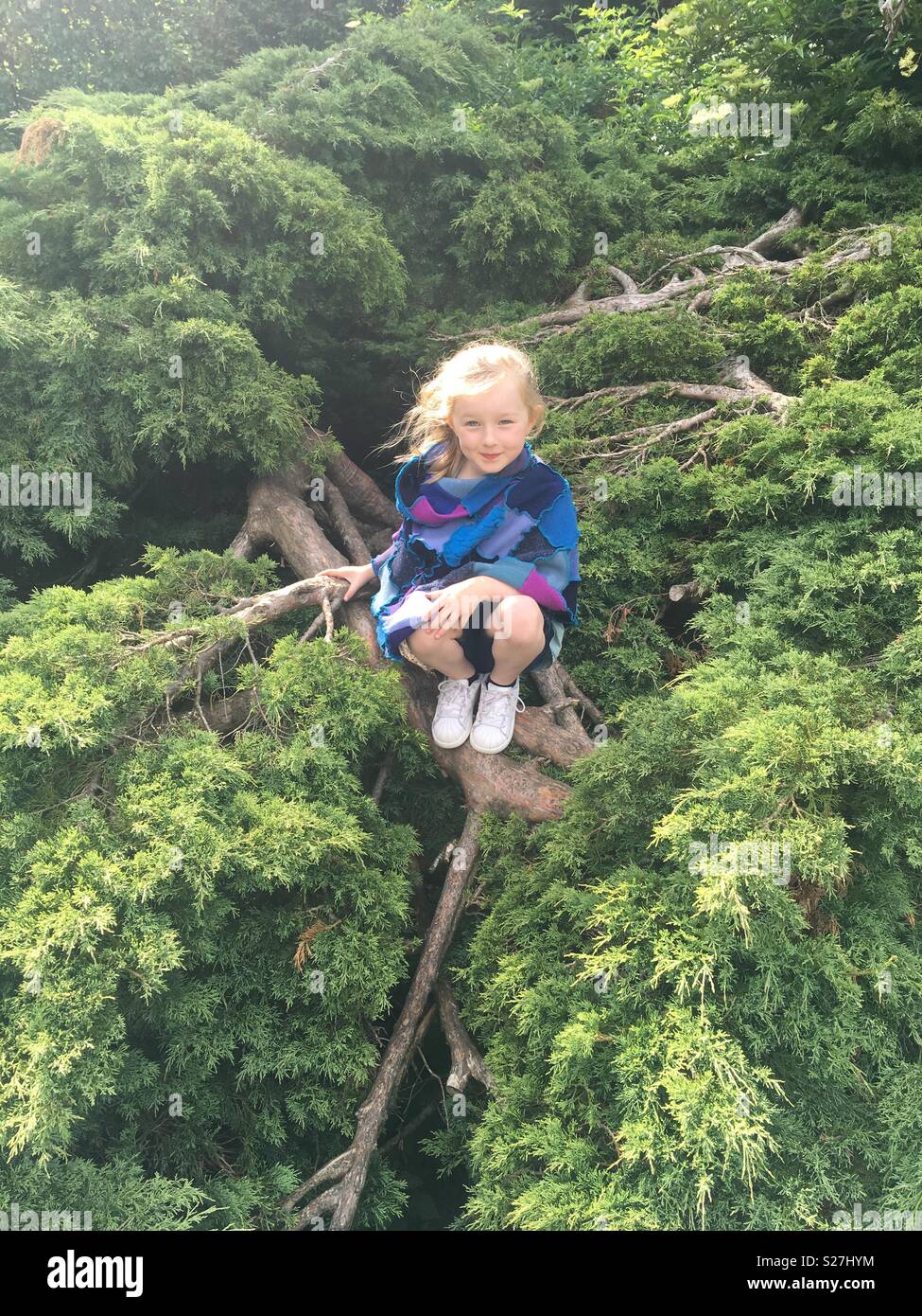 Daughter maya hi-res stock photography and images - Alamy