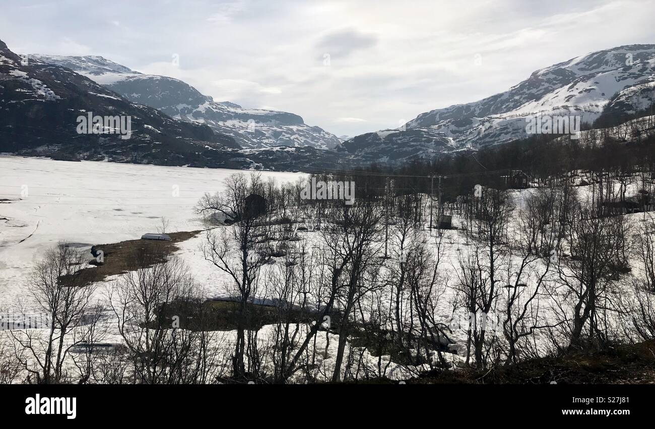 Myrdal station hi-res stock photography and images - Alamy