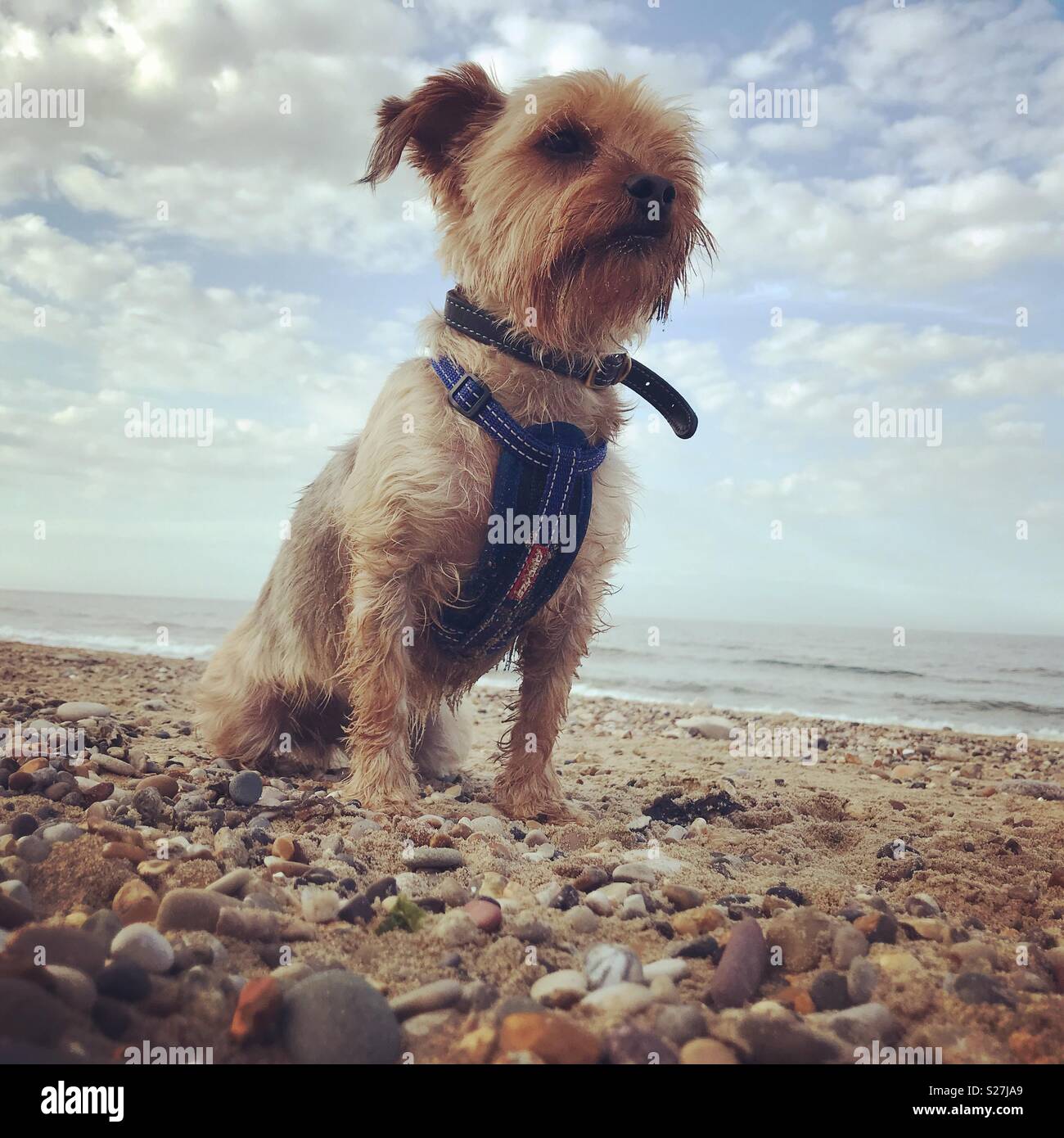 Sand gets everywhere at the beach! Stock Photo - Alamy