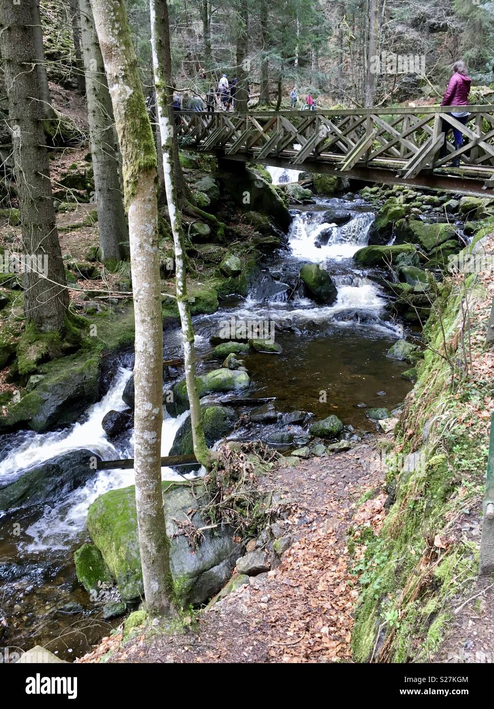 Black forest germany walking hi-res stock photography and images - Alamy