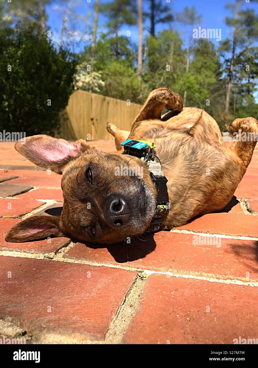 Atlanta georgia summer heat hi-res stock photography and images - Alamy