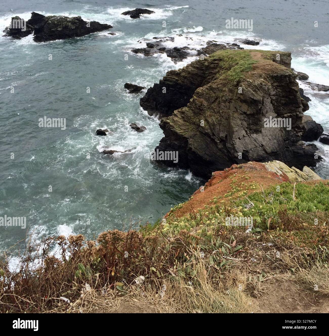 Lizard point cornwall Stock Photo - Alamy