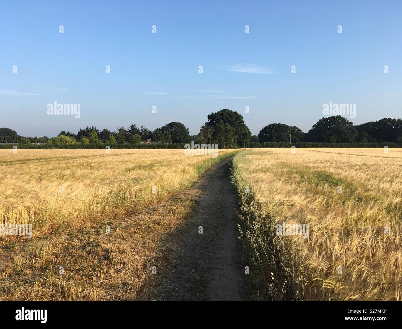 Summers walk hi-res stock photography and images - Alamy