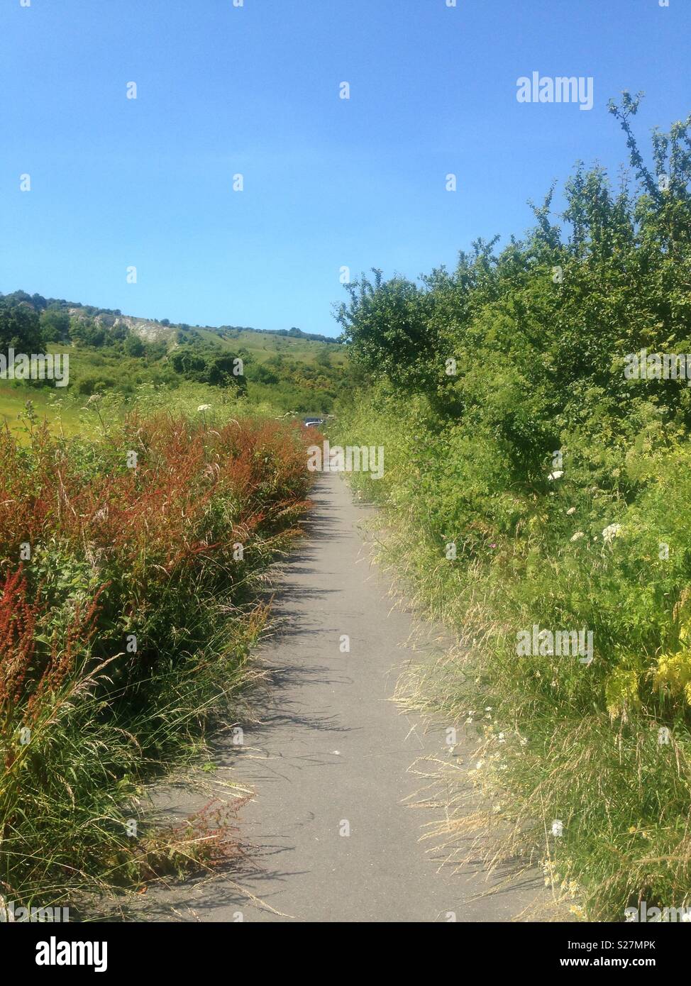 Hedgerows of sussex hi-res stock photography and images - Alamy