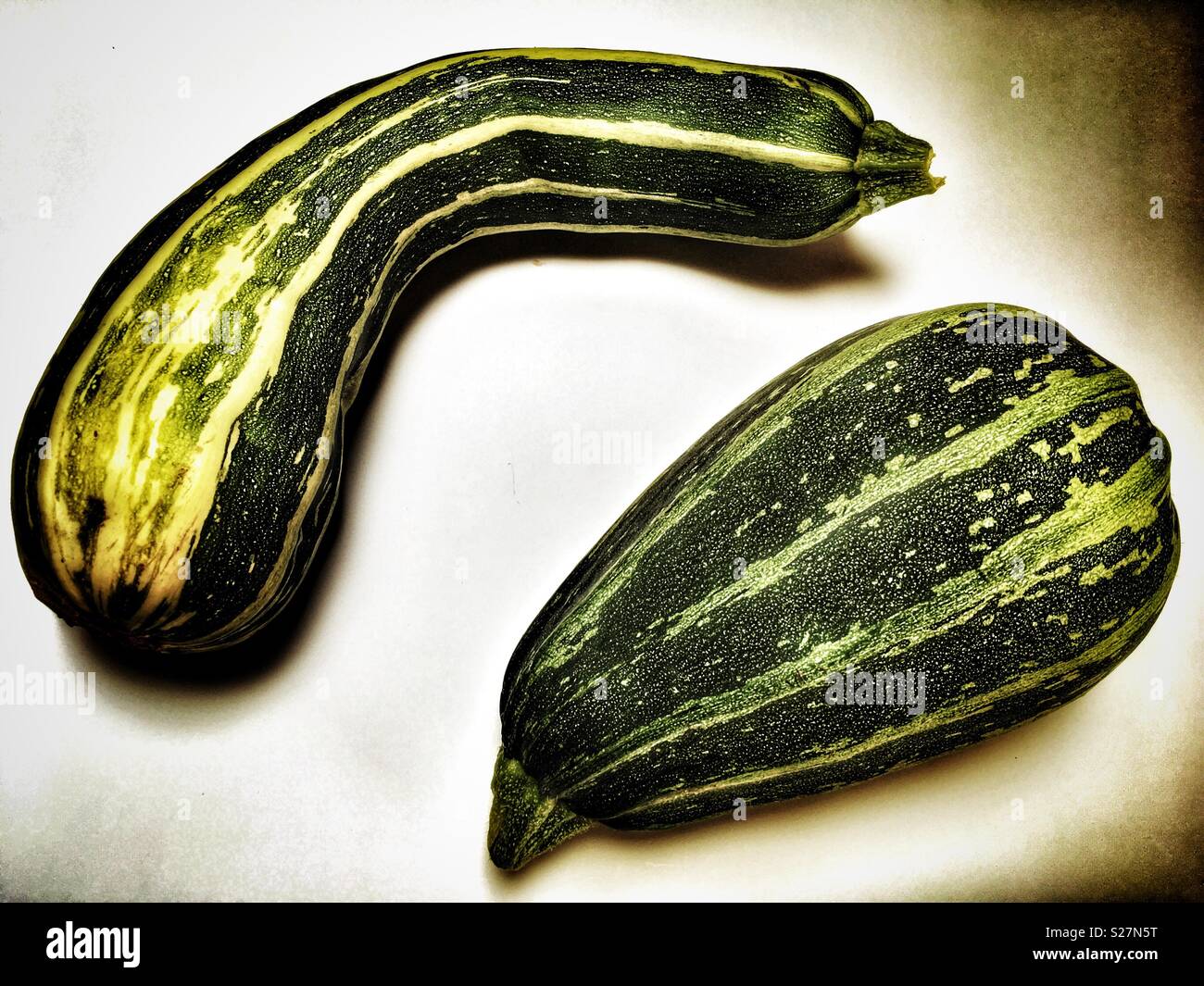 Organically grown garden marrows Stock Photo - Alamy