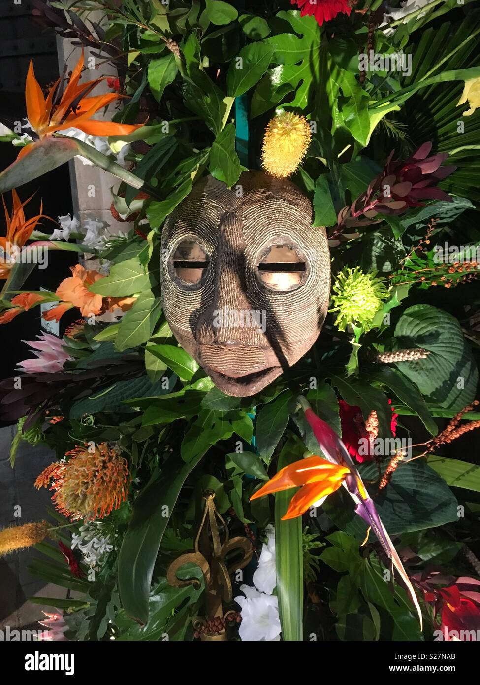 Unusual flower display design Stock Photo - Alamy