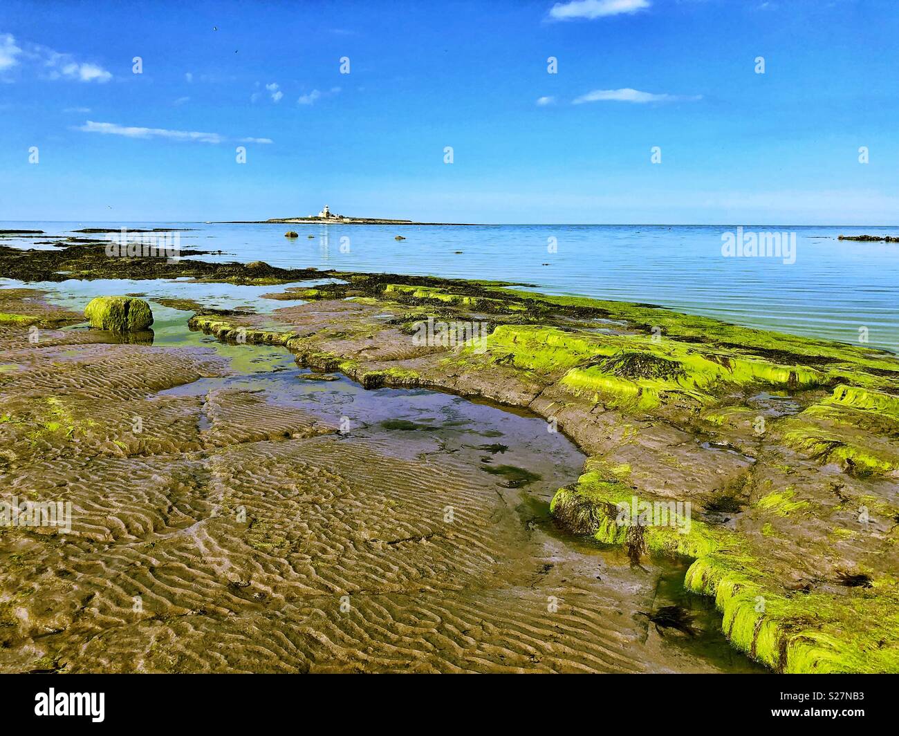 Coquet island hi-res stock photography and images - Alamy