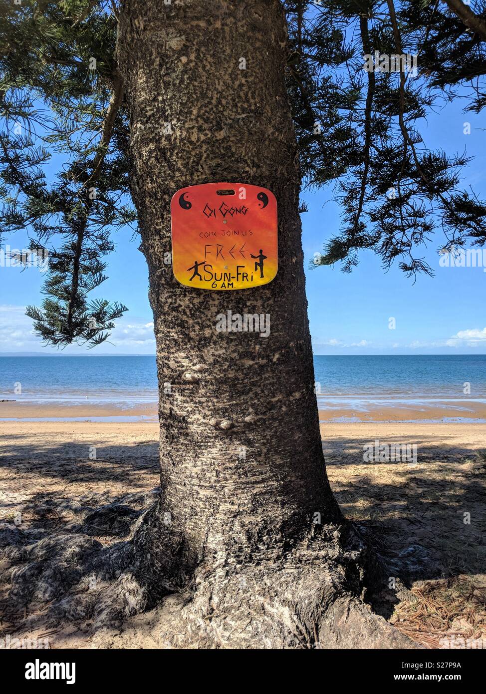 Qigong qi gong tree hi-res stock photography and images - Alamy
