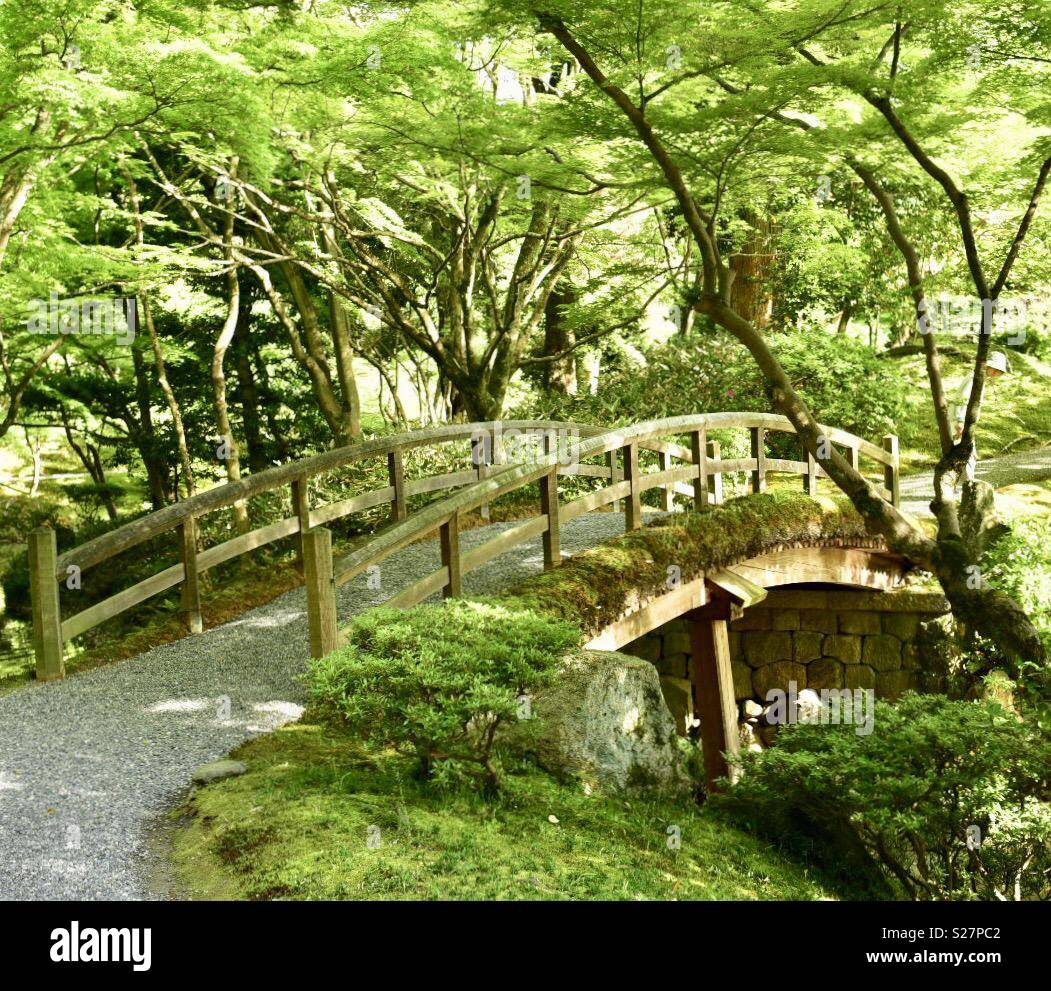 Japanese bridge in a green forest with dappled sunlight Stock Photo - Alamy