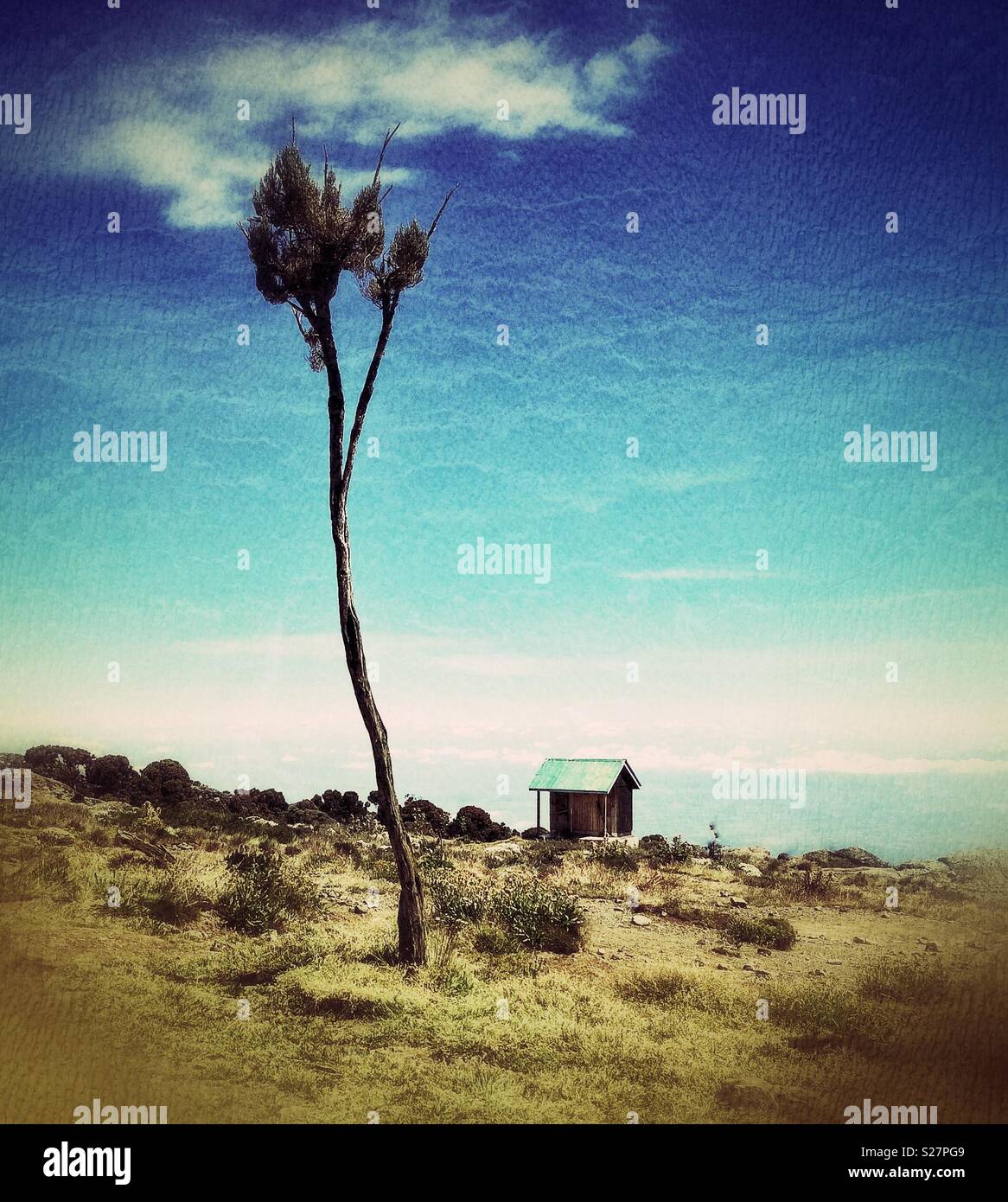 Lone shack hi-res stock photography and images - Alamy