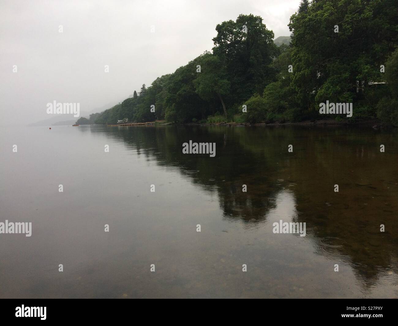 Mirror of tree line in the water Stock Photo - Alamy