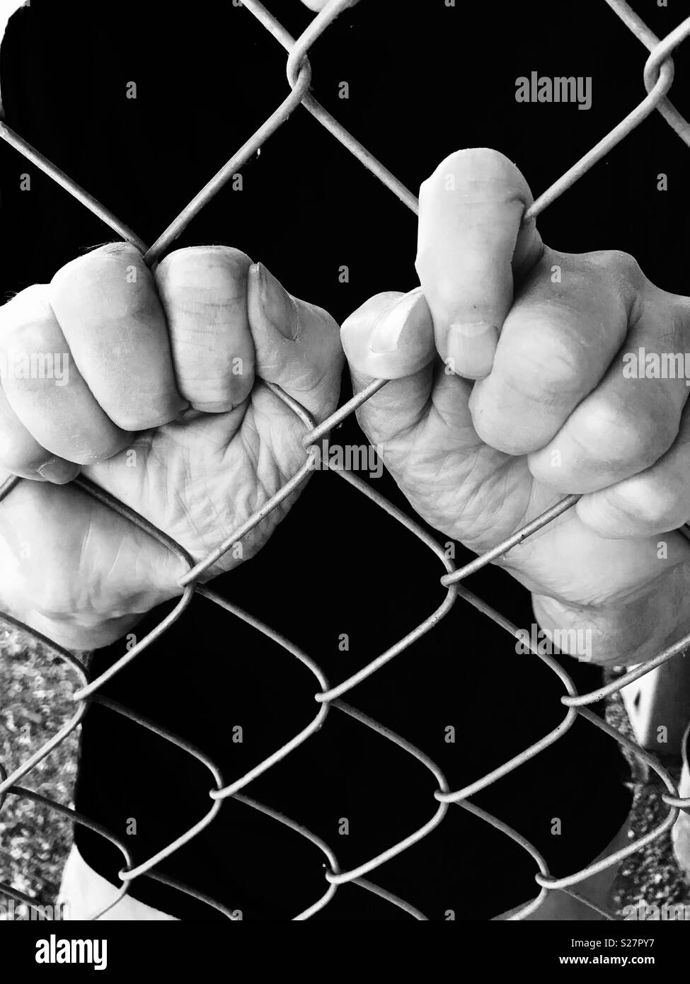 Two hands holding chain link fence Stock Photo - Alamy