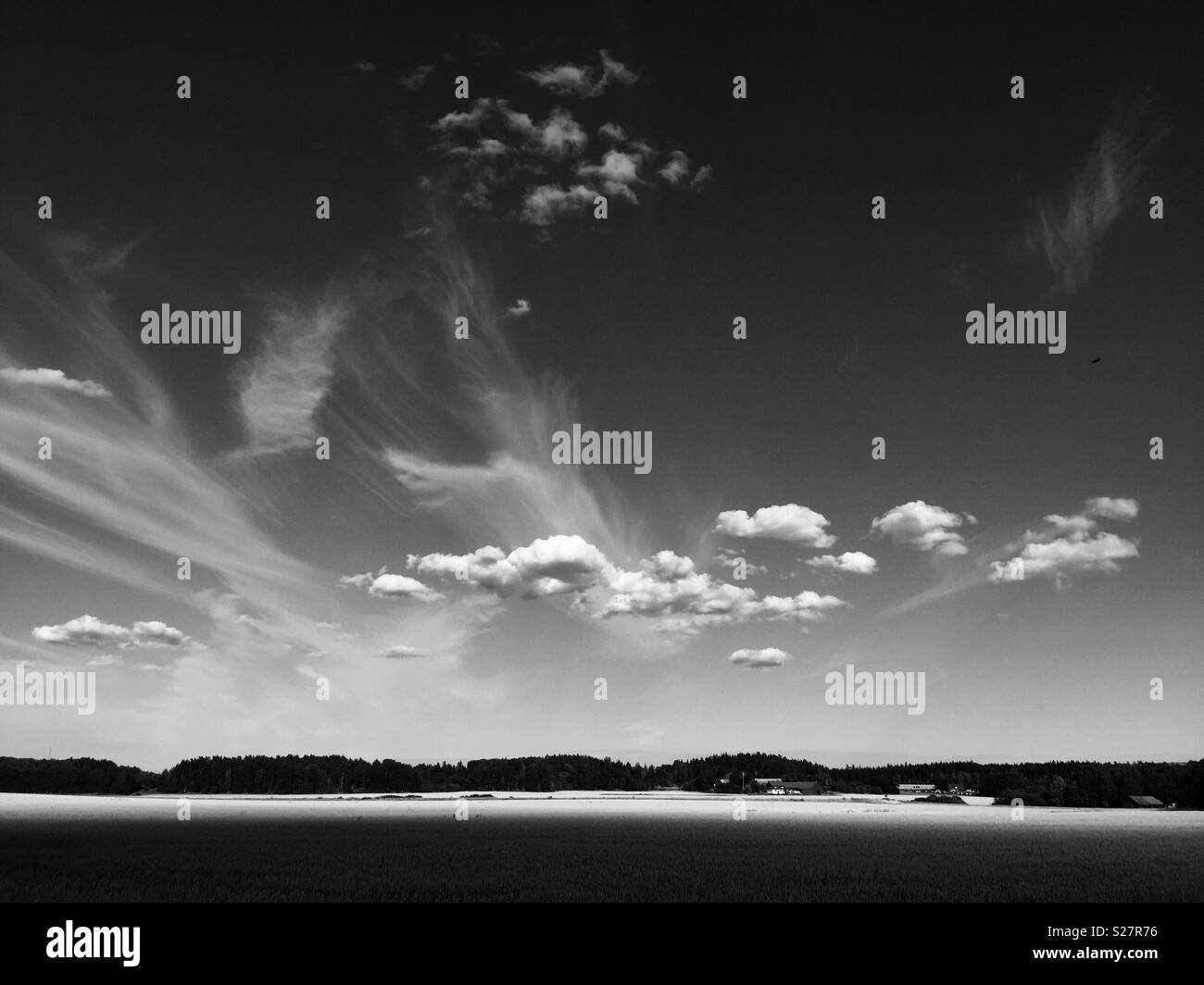 Sweden fields Black and White Stock Photos & Images - Alamy