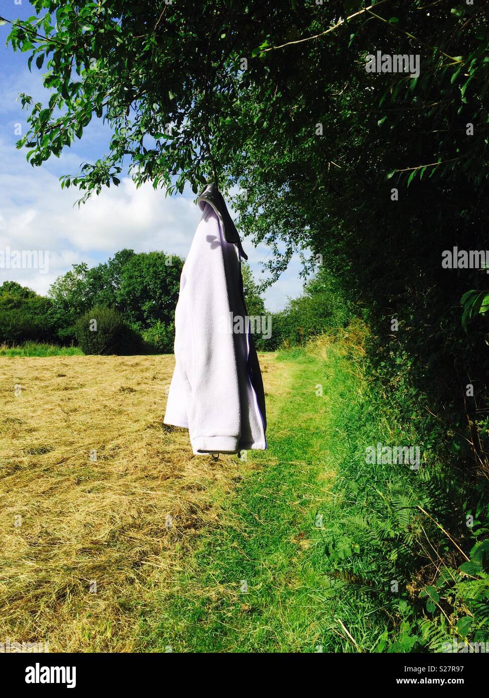 Working up a sweat turning the hay Stock Photo - Alamy