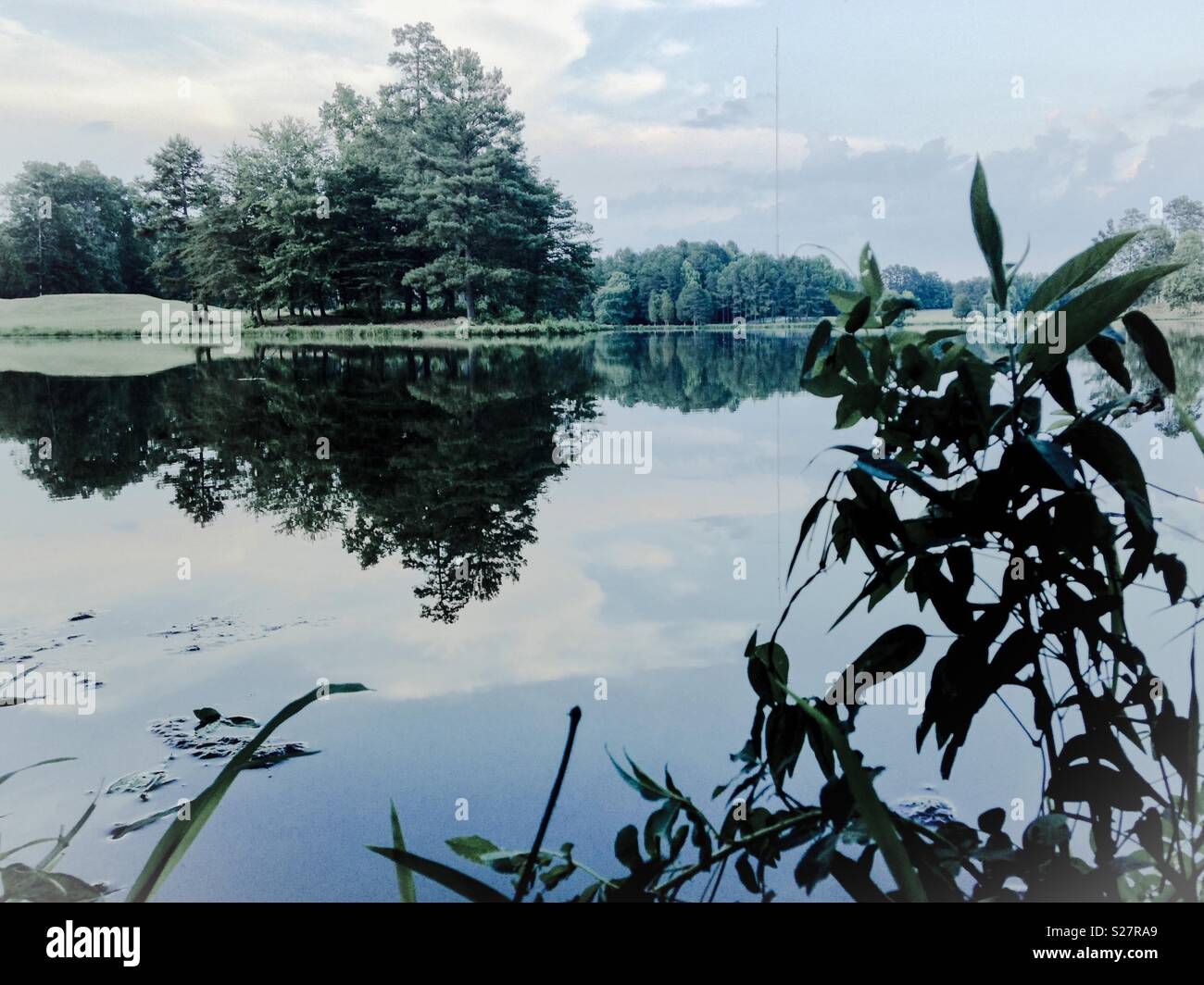 Pale lake scene on summer afternoon Stock Photo - Alamy