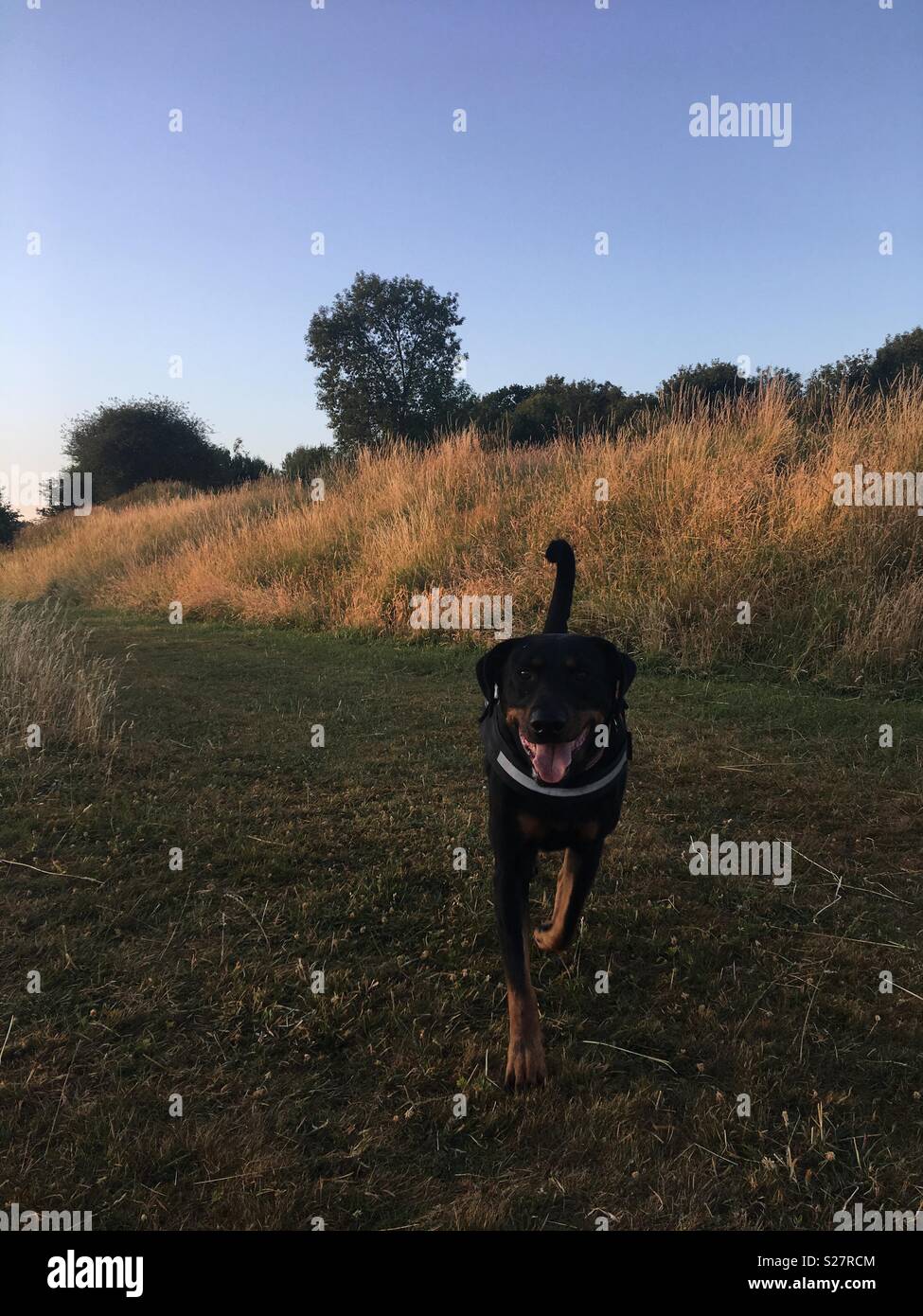 Happy mornings hi-res stock photography and images - Alamy