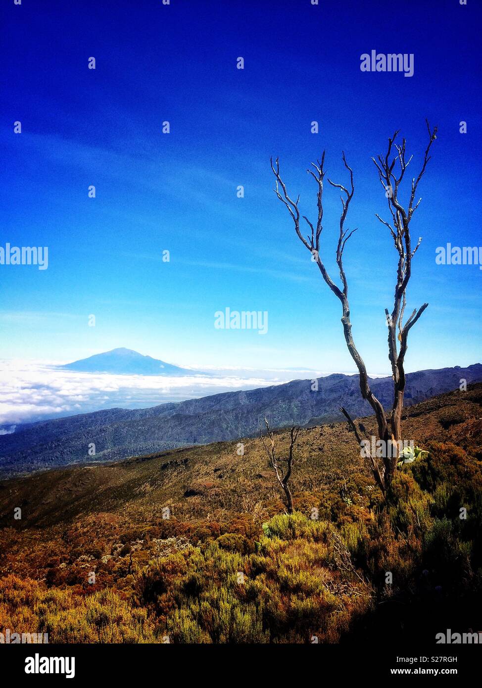 Mount Meru High Resolution Stock Photography and Images - Alamy