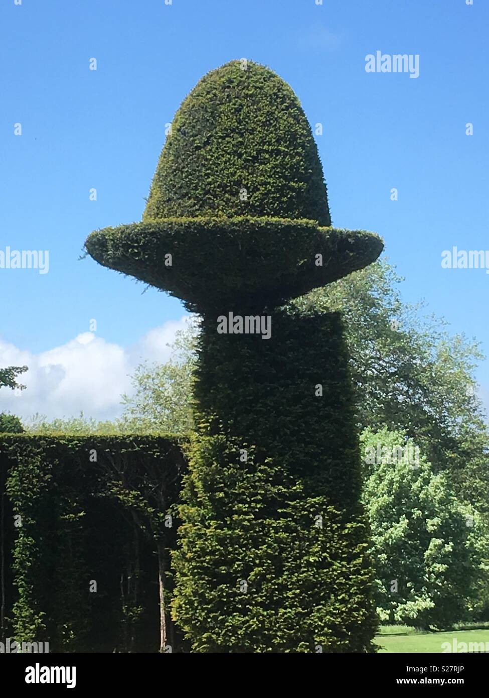 Topiary shrubs hi-res stock photography and images - Alamy