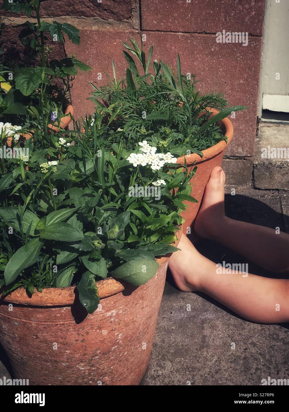 Plant pot feet hi-res stock photography and images - Alamy