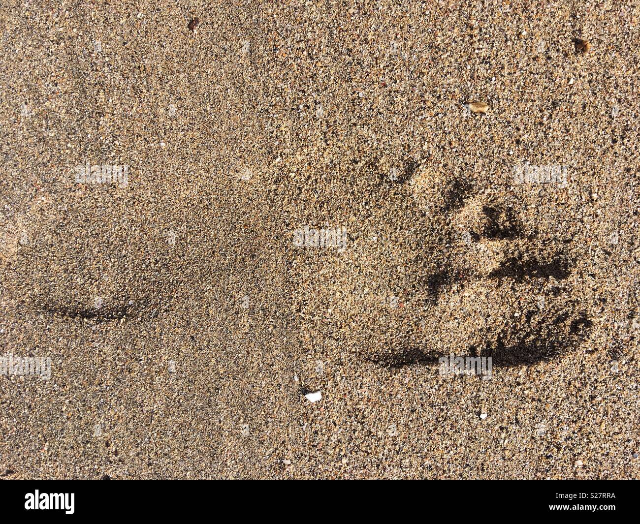 Sand Foot Mark High Resolution Stock Photography and Images - Alamy
