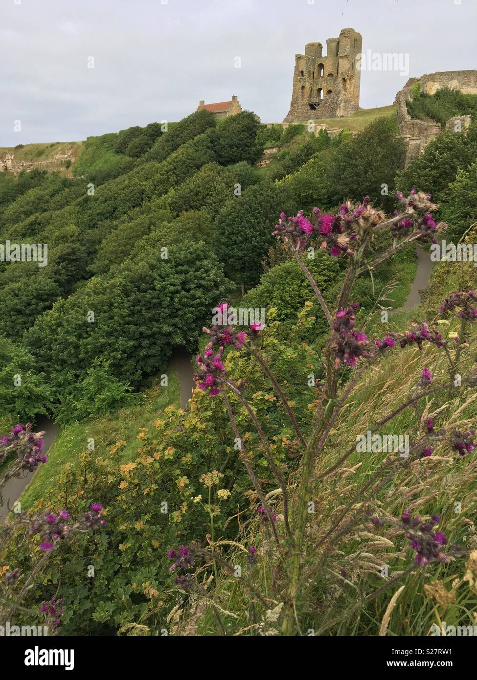 Scarborough castle flowers hi-res stock photography and images - Alamy